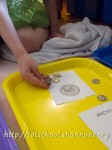 Sorting Coins (& U.S. Coin 3-Part Cards) « Shannon's Tot School